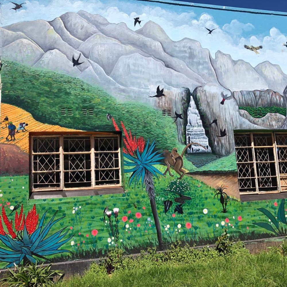 Chimanimani Biodiversity Learning Centre and Peza Trust - Chimanimani